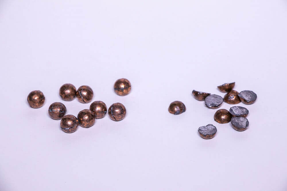 Buck Shot vs Bird Shot for Self-Defense | Ammunition Depot