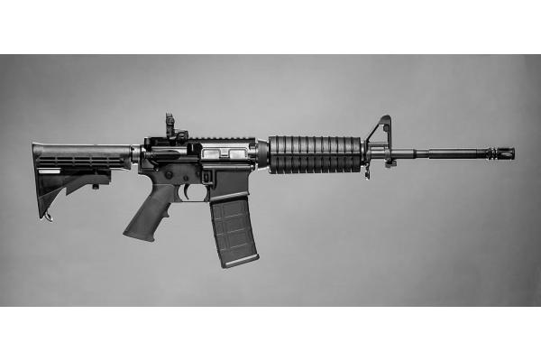 The Best Rifles for Home Defense | Ammunition Depot