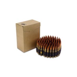 Federal Lake City 7.62x51 XM80 149 Grain FMJ Linked - (6) 100 Rounds ...